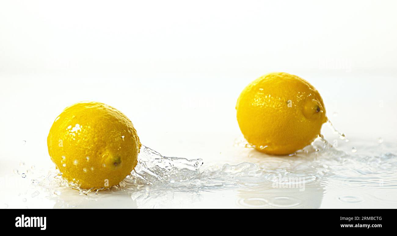 Yellow Lemons, citrus limonum, Fruits Rolling on Water and splashing ...
