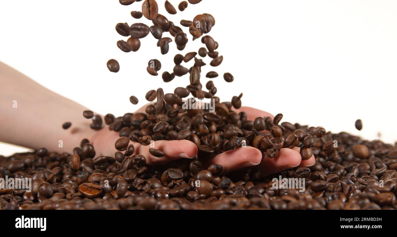 Coffee Beans Falling against White Background Stock Photo - Alamy
