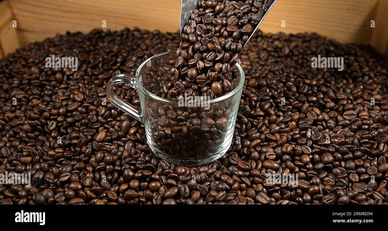 Coffee beans falling out cup hi-res stock photography and images - Alamy