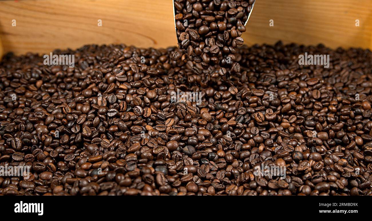 Coffee Beans Falling Stock Photo - Alamy