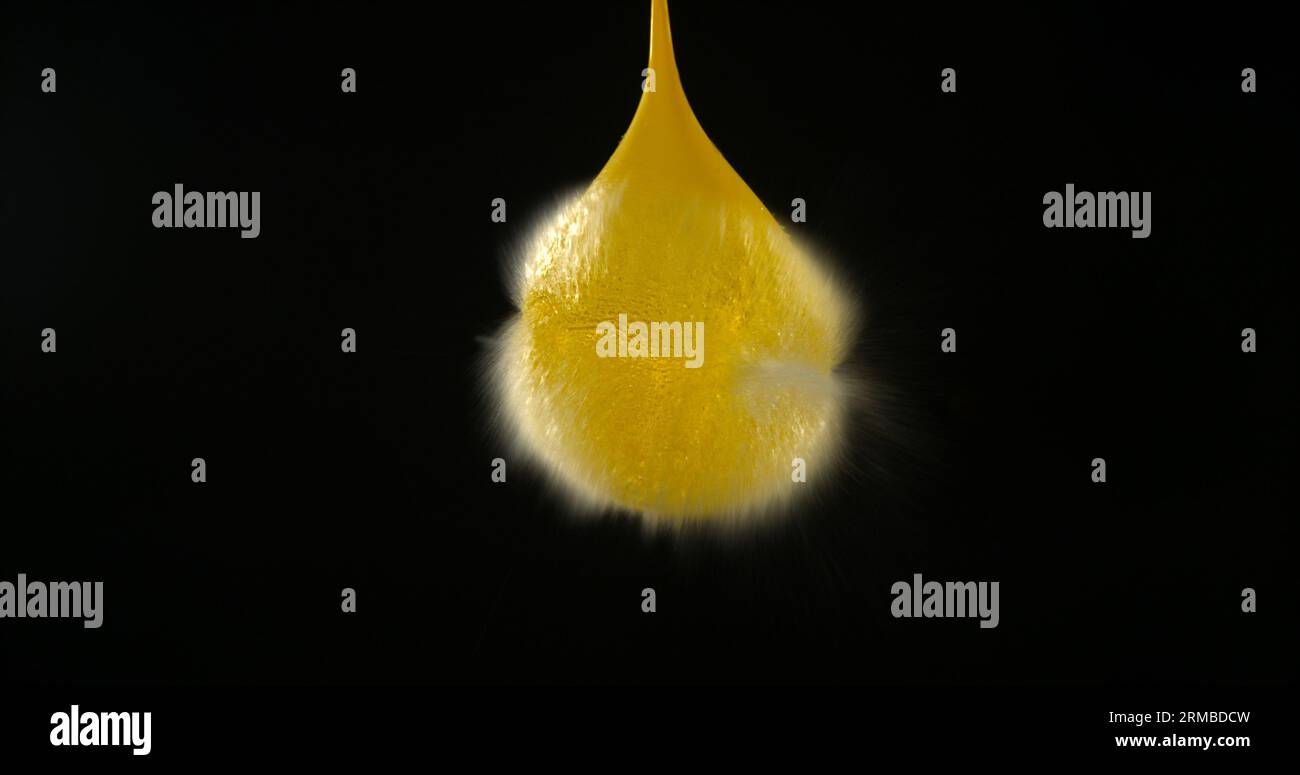 Water balloon hanging studio hi-res stock photography and images - Alamy