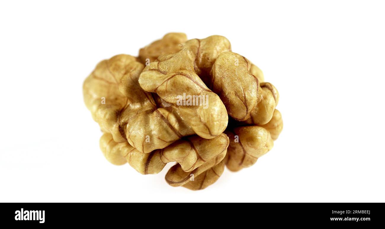 Walnut, juglans regia, Dry Fruit against White Background Stock Photo ...