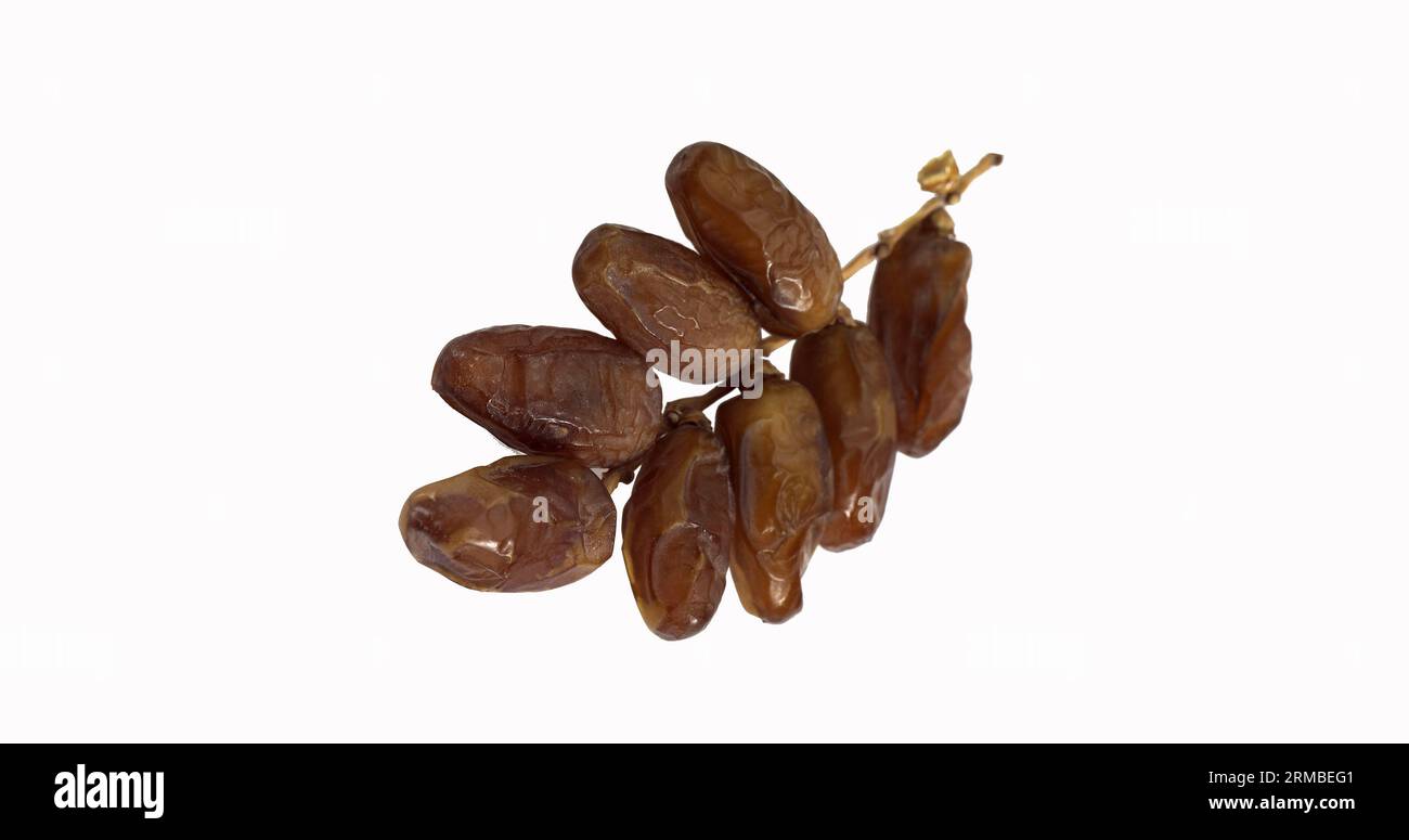 Dry Date Palm Fruit, phoenix dactylifera against White Background Stock ...