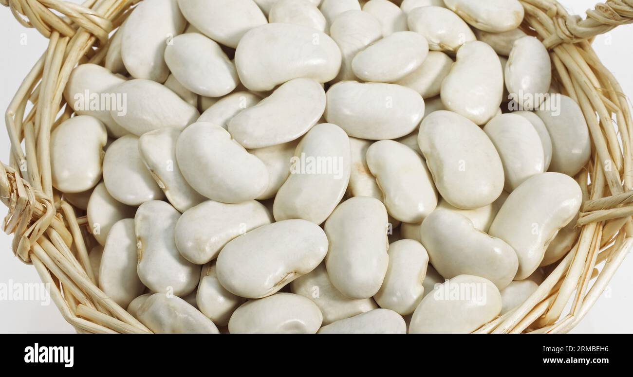 French Beans called Soissons Beans, phaseolus vulgaris against White ...