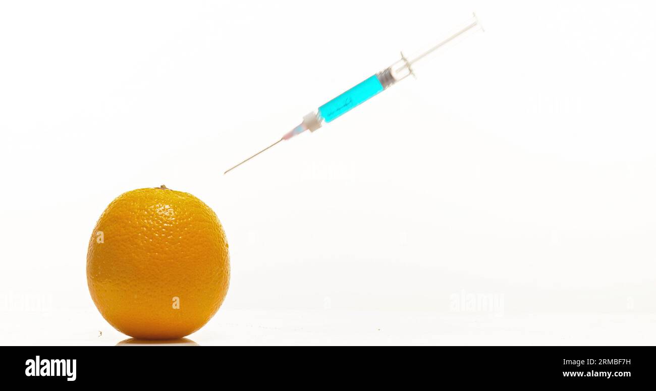Syringe injecting Treatment into Orange, citrus sinensis, Fruit against ...