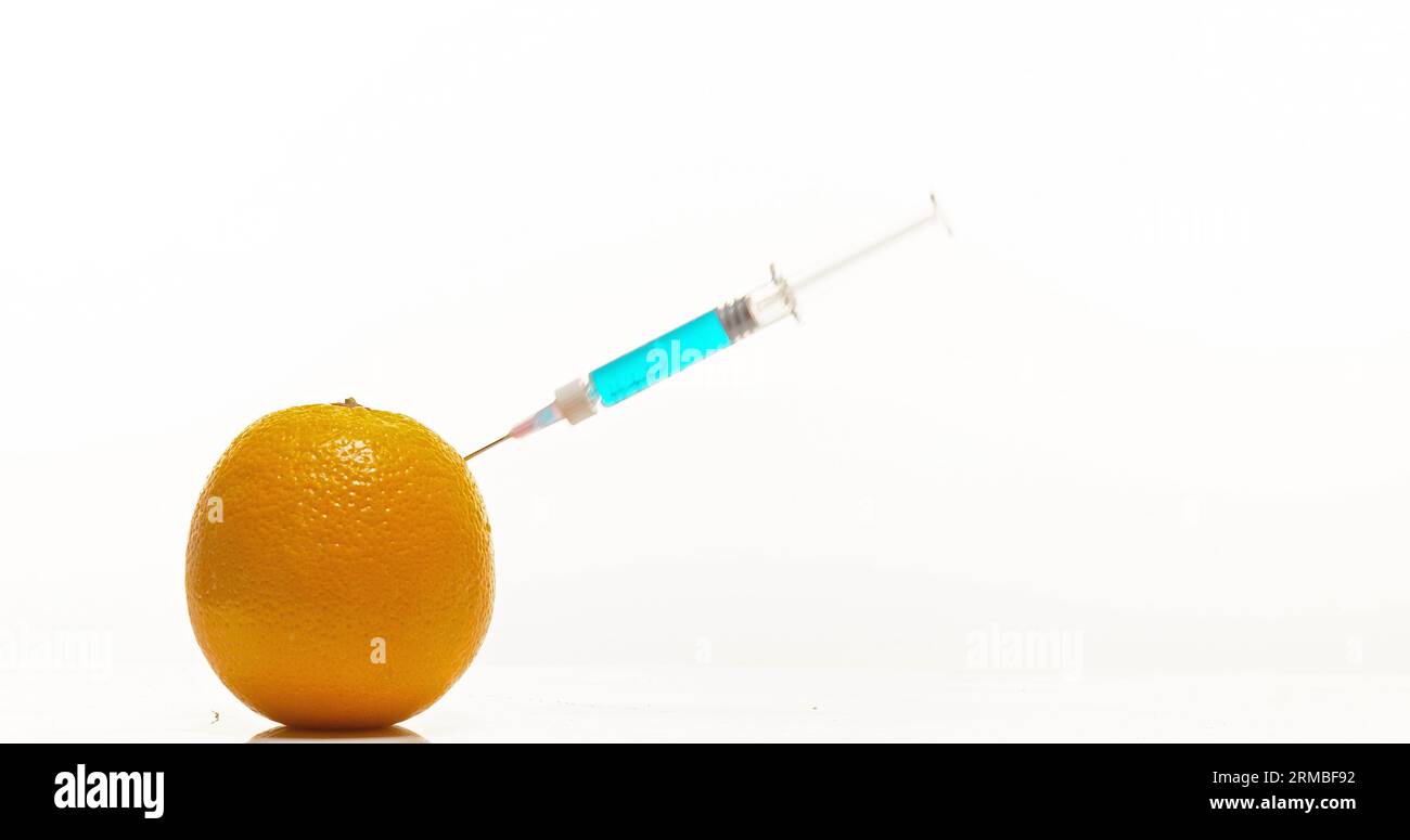 Syringe injecting Treatment into Orange, citrus sinensis, Fruit against ...