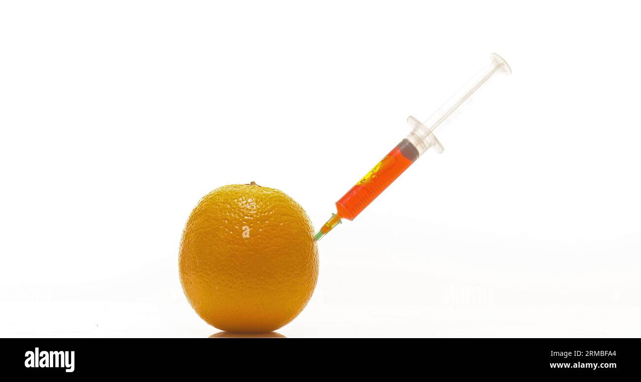 Syringe injecting Treatment into Orange, citrus sinensis, Fruit against ...