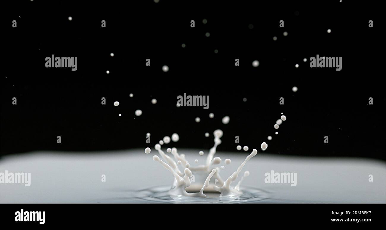 Drop of Milk Falling against Black Background Stock Photo - Alamy