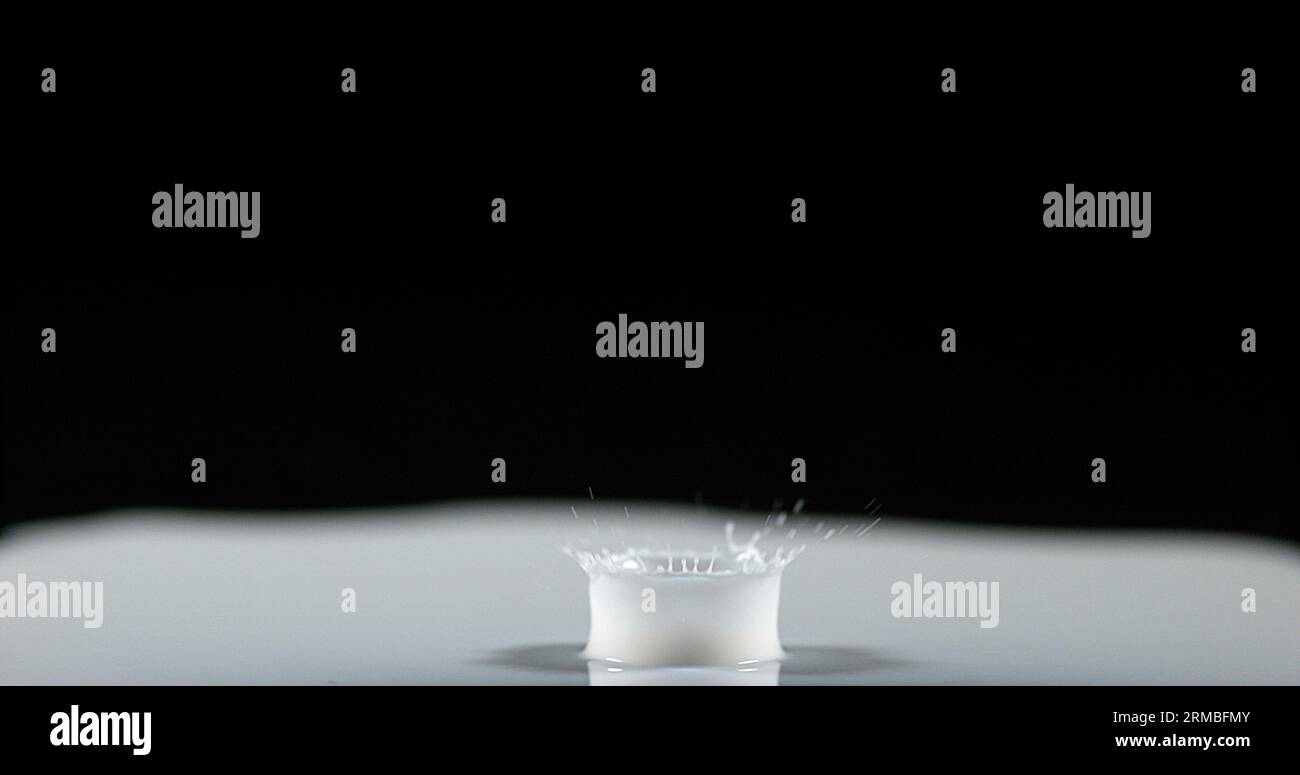 Drop of Milk Falling against Black Background Stock Photo - Alamy