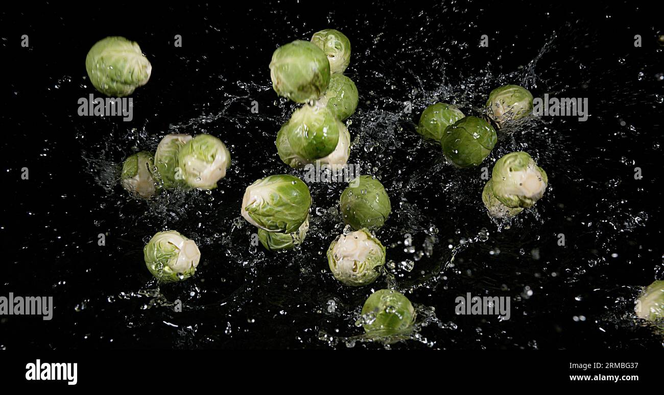 Brussels Sprouts, brassica oleracea, Vegetable falling into Water ...