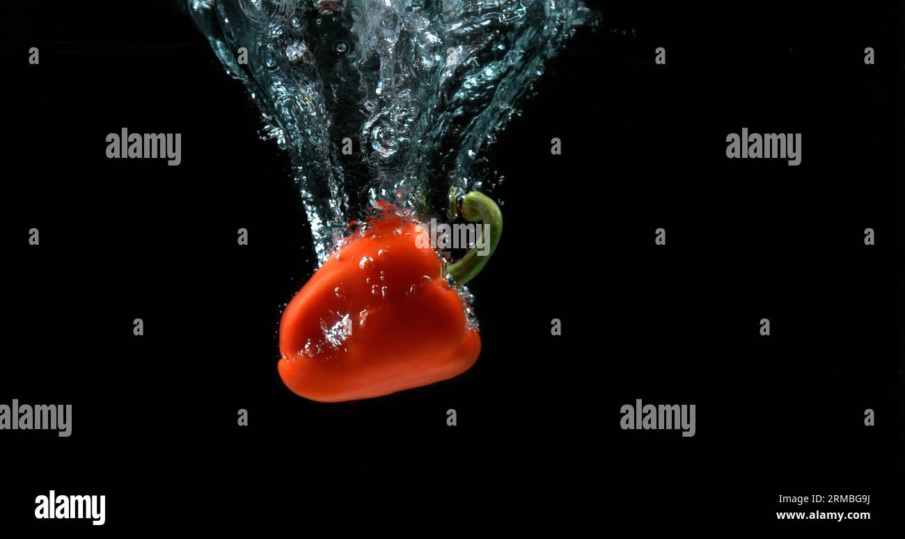 Red Sweet Pepper, capsicum annuum, Vegetable falling into Water against ...