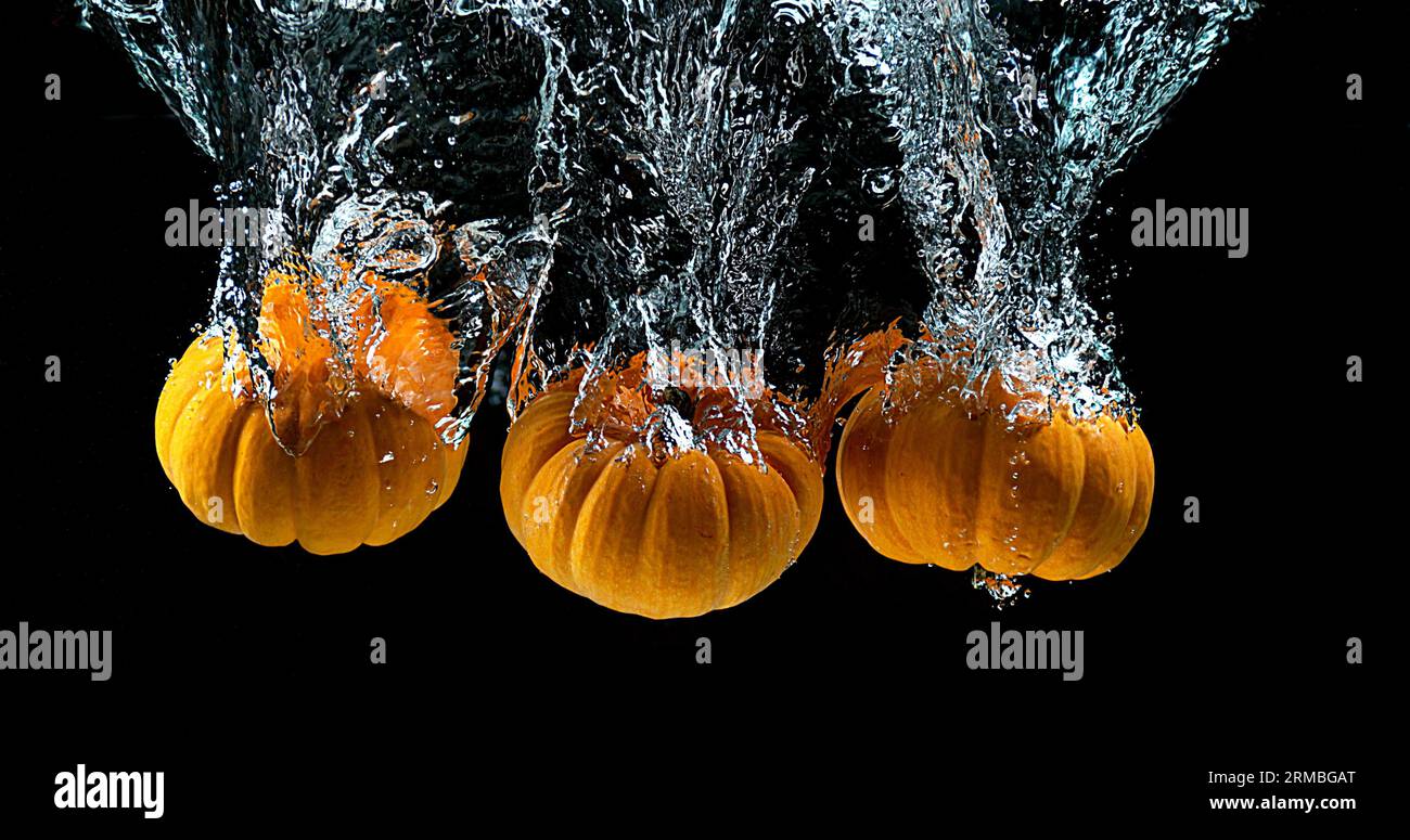 Dwarf Pumpkin, cucurbita pepo, Fruit Falling into Water against Black ...