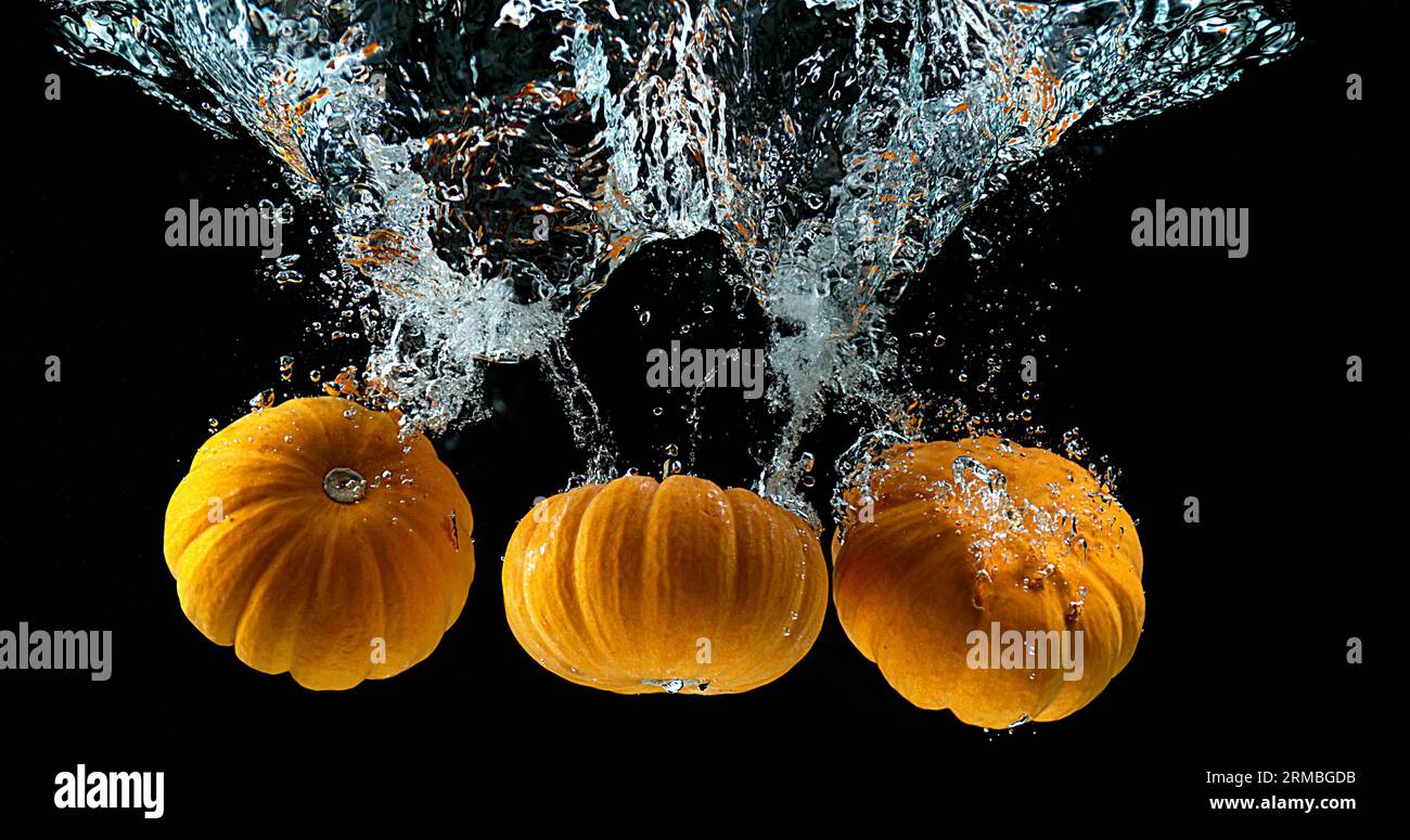 Dwarf Pumpkin, cucurbita pepo, Fruit Falling into Water against Black ...