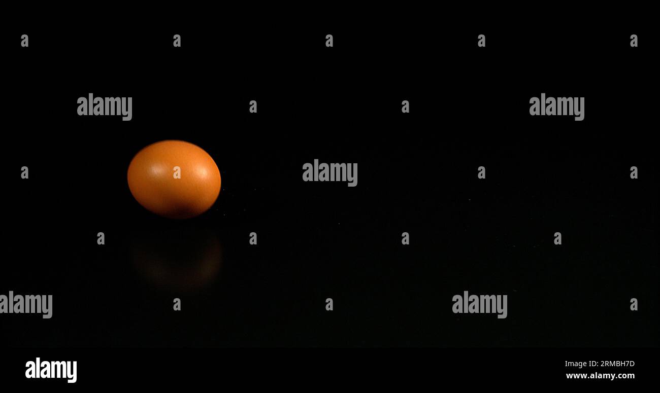 Egg falling and Exploding on black background Stock Photo - Alamy