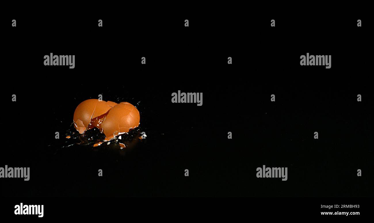 Egg falling and Exploding on black background Stock Photo - Alamy