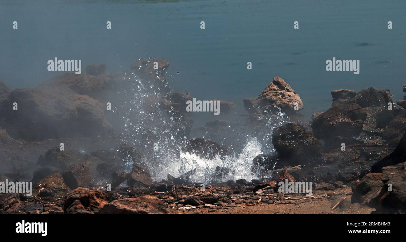 Geyser, Hot Springs at Bogoria Lake in Kenya Stock Photo - Alamy