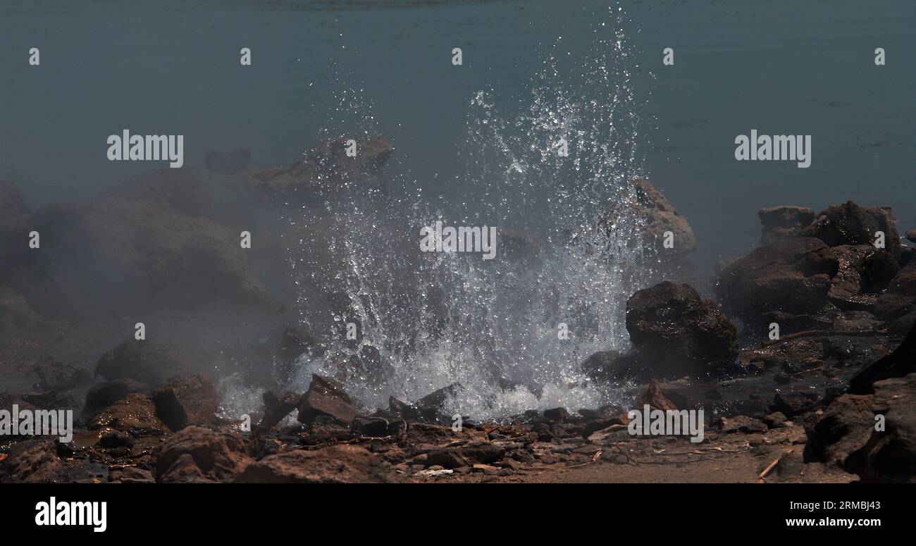 Geyser, Hot Springs at Bogoria Lake in Kenya Stock Photo - Alamy
