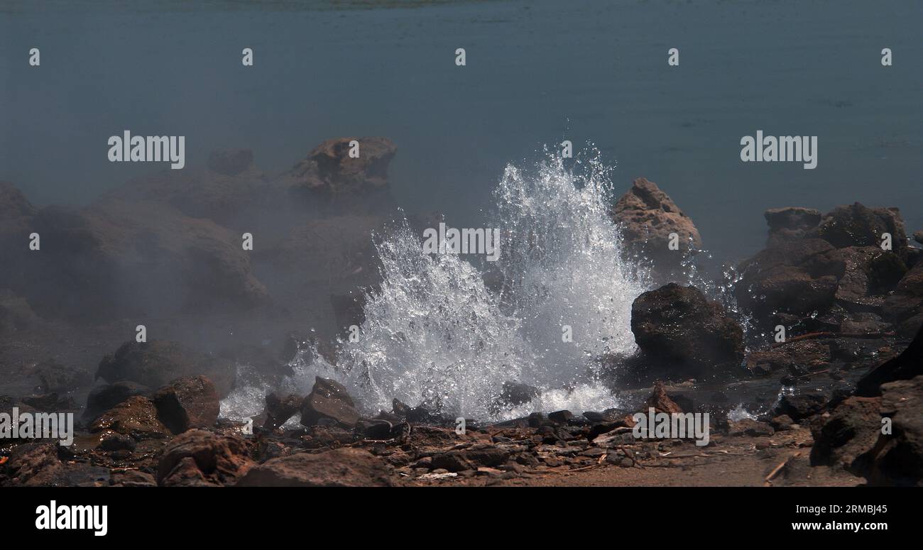 Geyser, Hot Springs at Bogoria Lake in Kenya Stock Photo - Alamy
