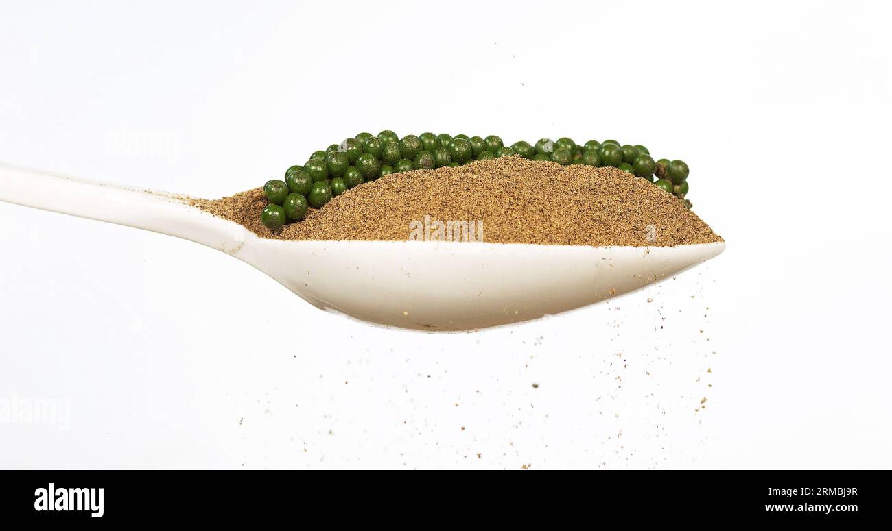 Fresh green pepper, piper nigrum, spice falling in pepper ground on ...