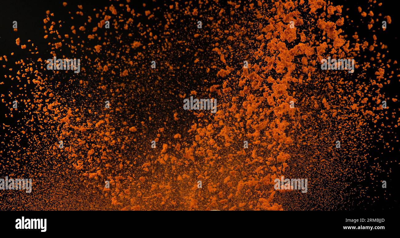 Turmeric, curcuma longa, Powder falling against Black Background ...