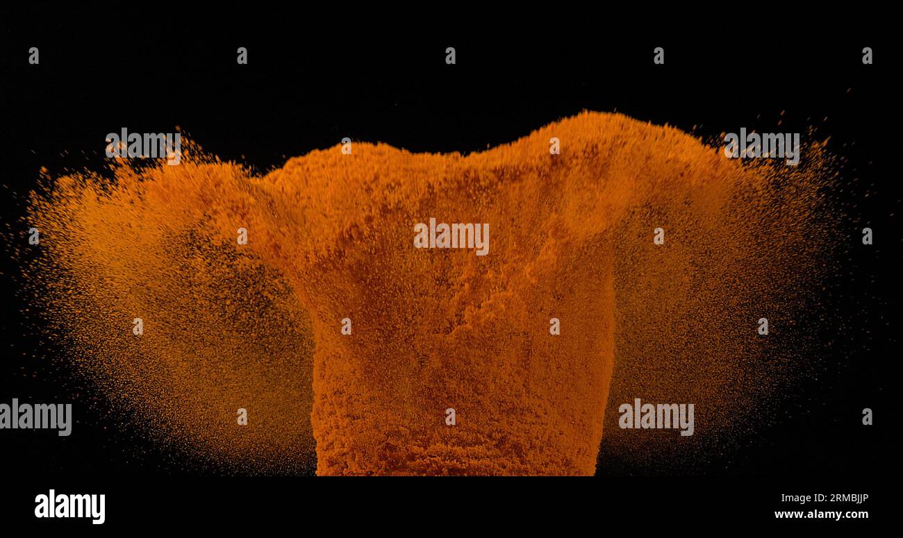 Turmeric, curcuma longa, Powder falling against Black Background ...