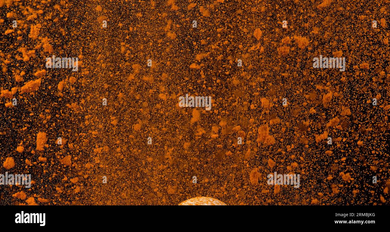 Turmeric, curcuma longa, Powder falling against Black Background ...