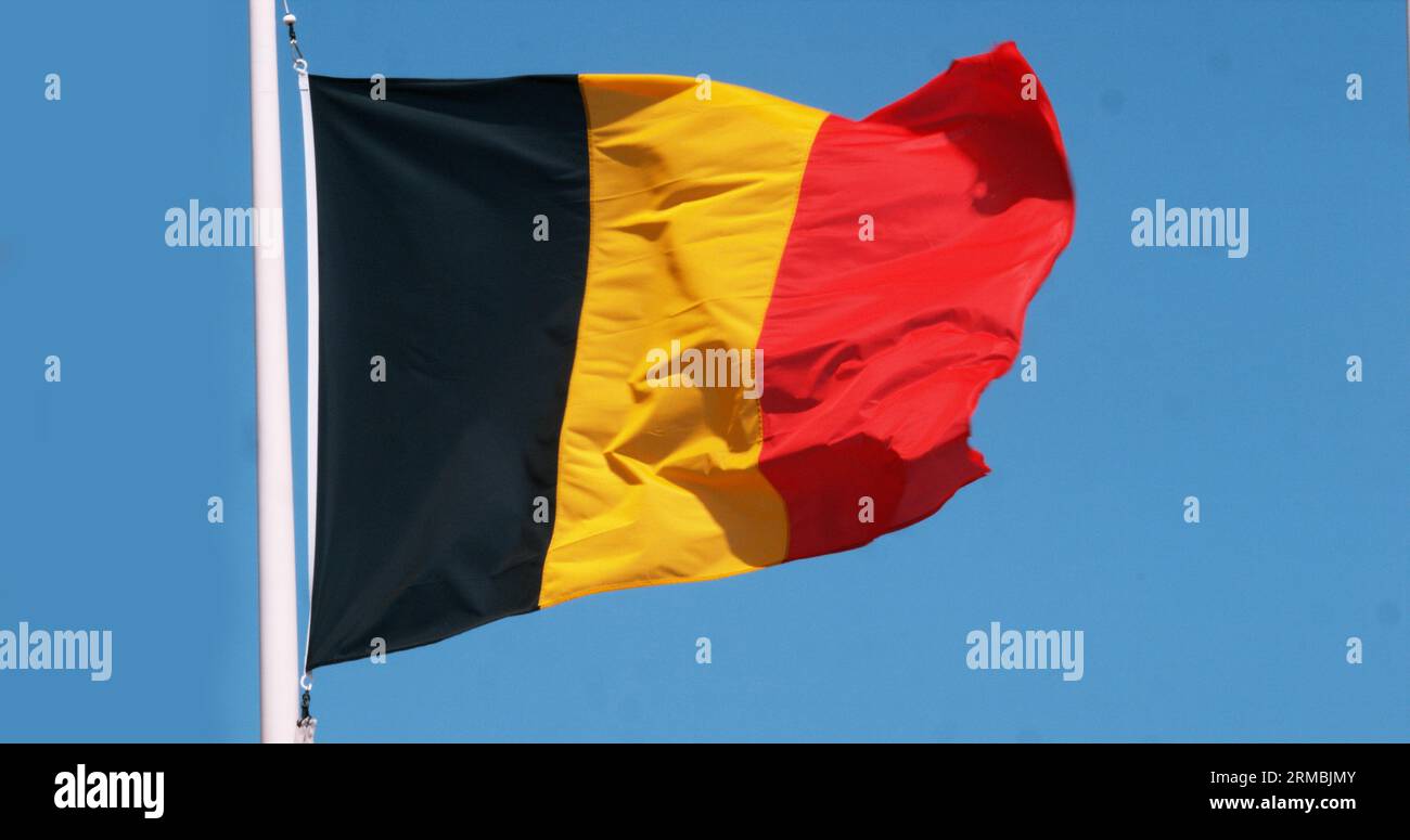 Close up belgian flag waving hi-res stock photography and images - Alamy