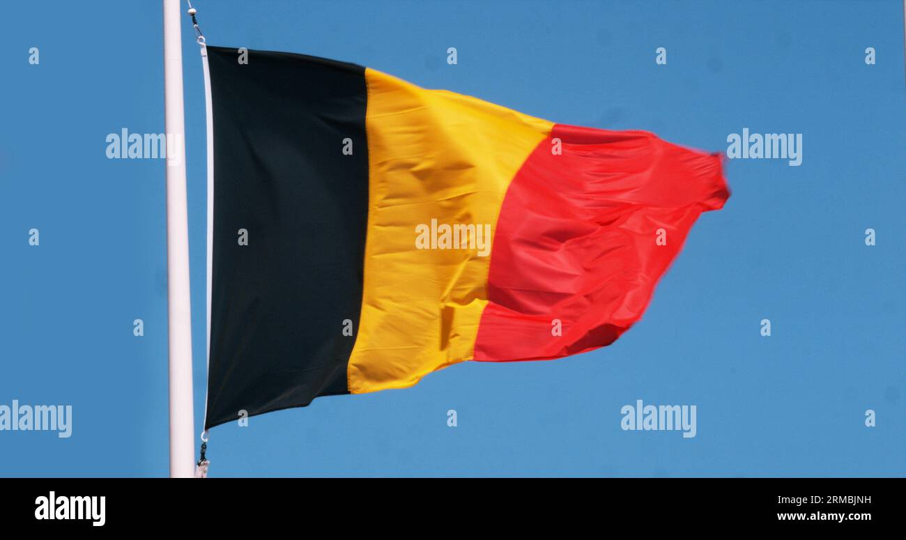 Belgian flag waving in hi-res stock photography and images - Alamy