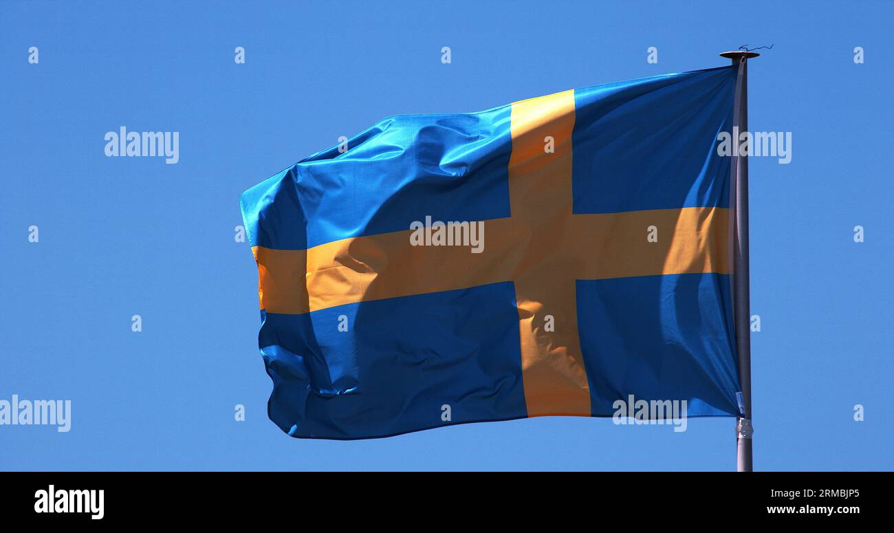 Swedish Flag Waving in the Wind against blue sky Stock Photo - Alamy