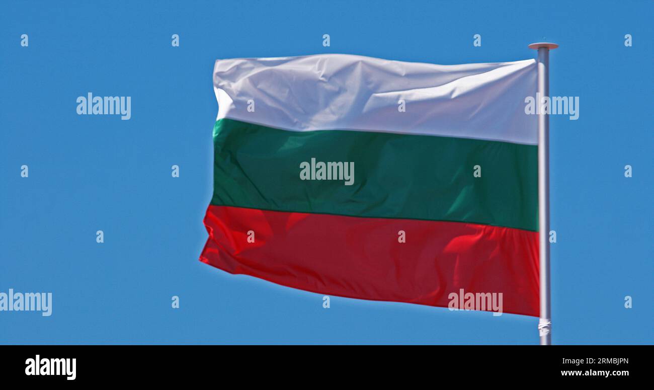 Bulgarian Flag Waving in the Wind against blue sky Stock Photo - Alamy