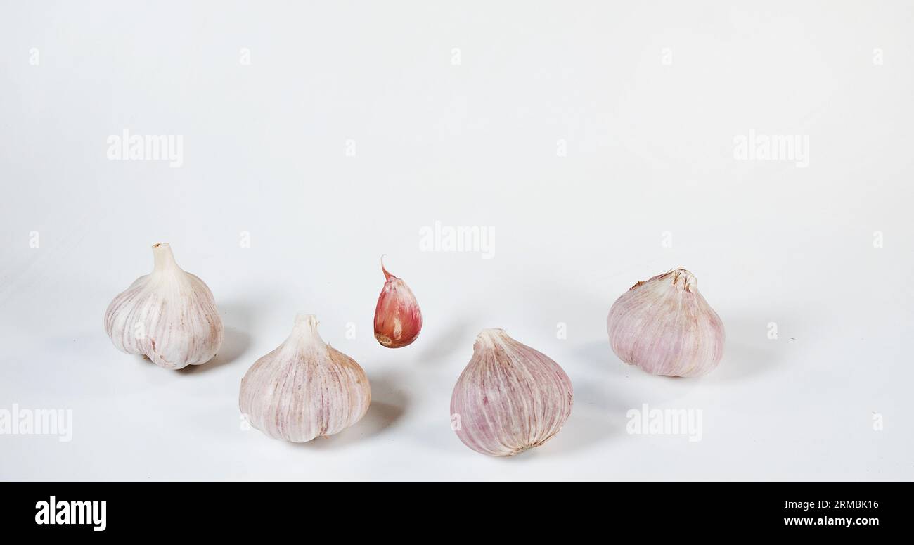 Garlic, allium savitum, Falling against White Background Stock Photo ...