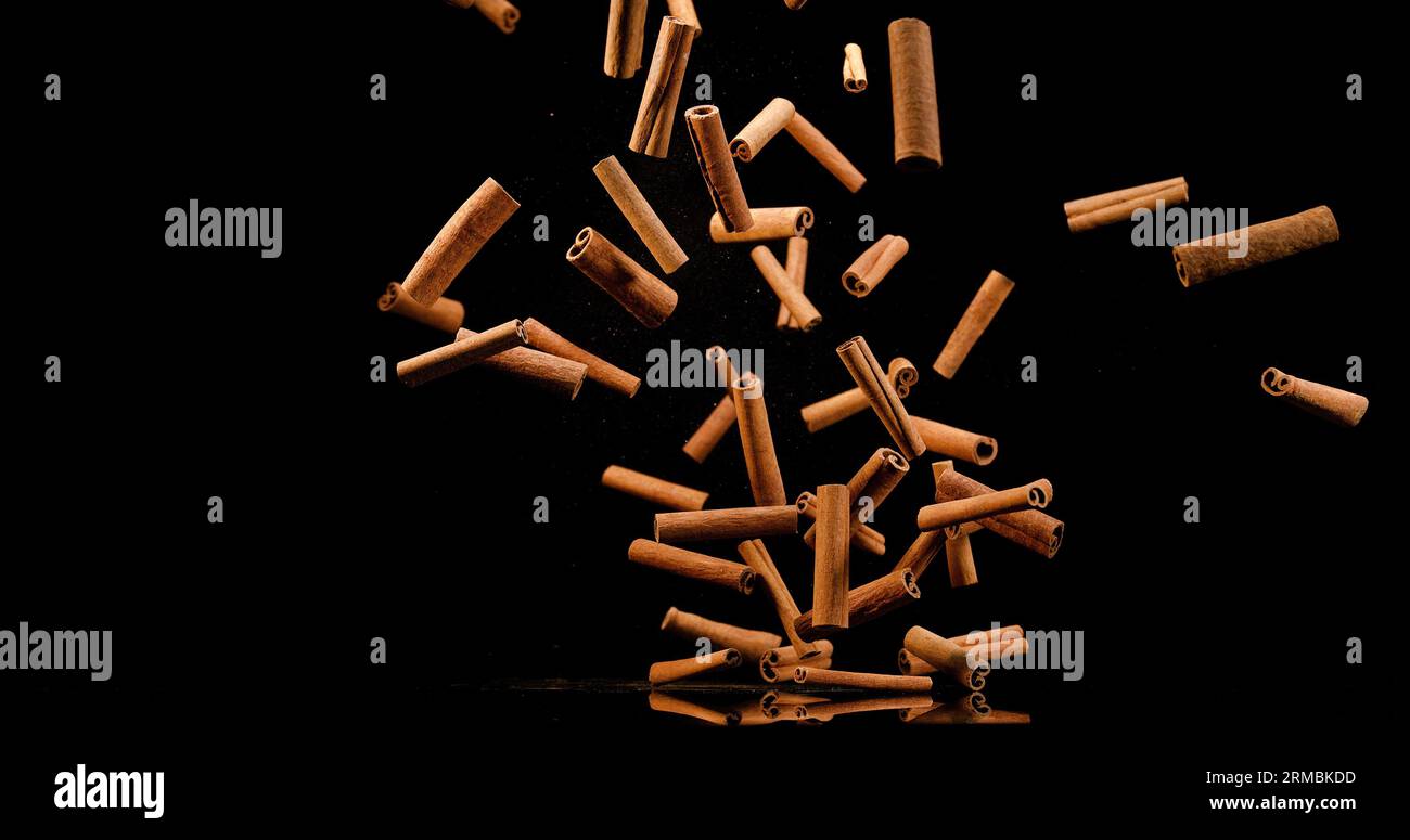 Cinnamon sticks, cinnamomum zeylanicum, spice falling against Black ...
