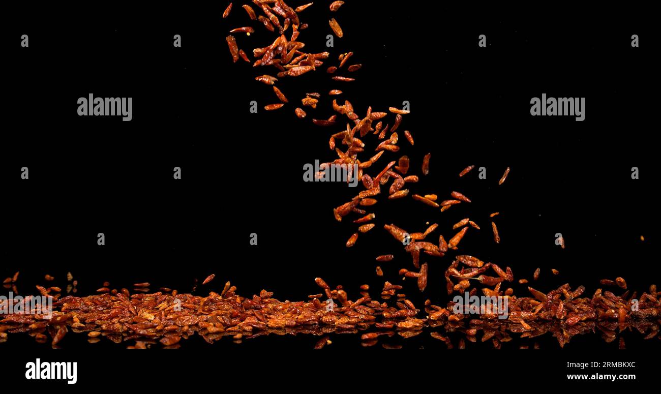 Cayenne Chili Pepper, capsicum frutescens, spice falling against Black ...