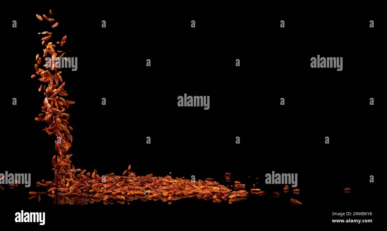 Cayenne Chili Pepper, capsicum frutescens, spice falling against Black ...