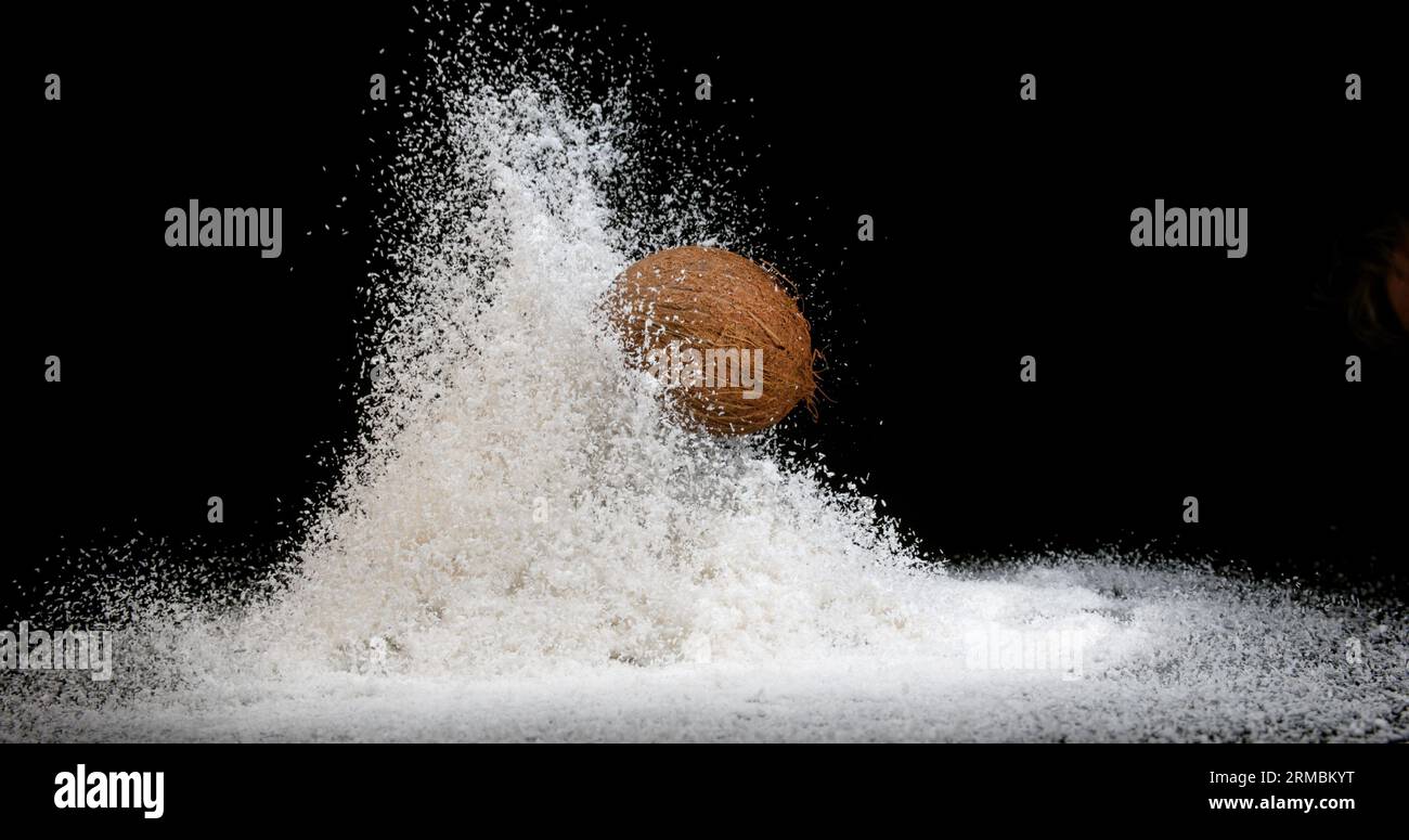 Coconut, cocos nucifera, Fruit and Powder Exploding against Black ...