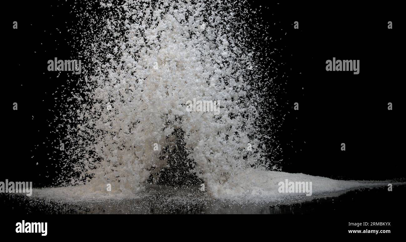 Coconut, cocos nucifera, Powder falling against Black Background Stock ...