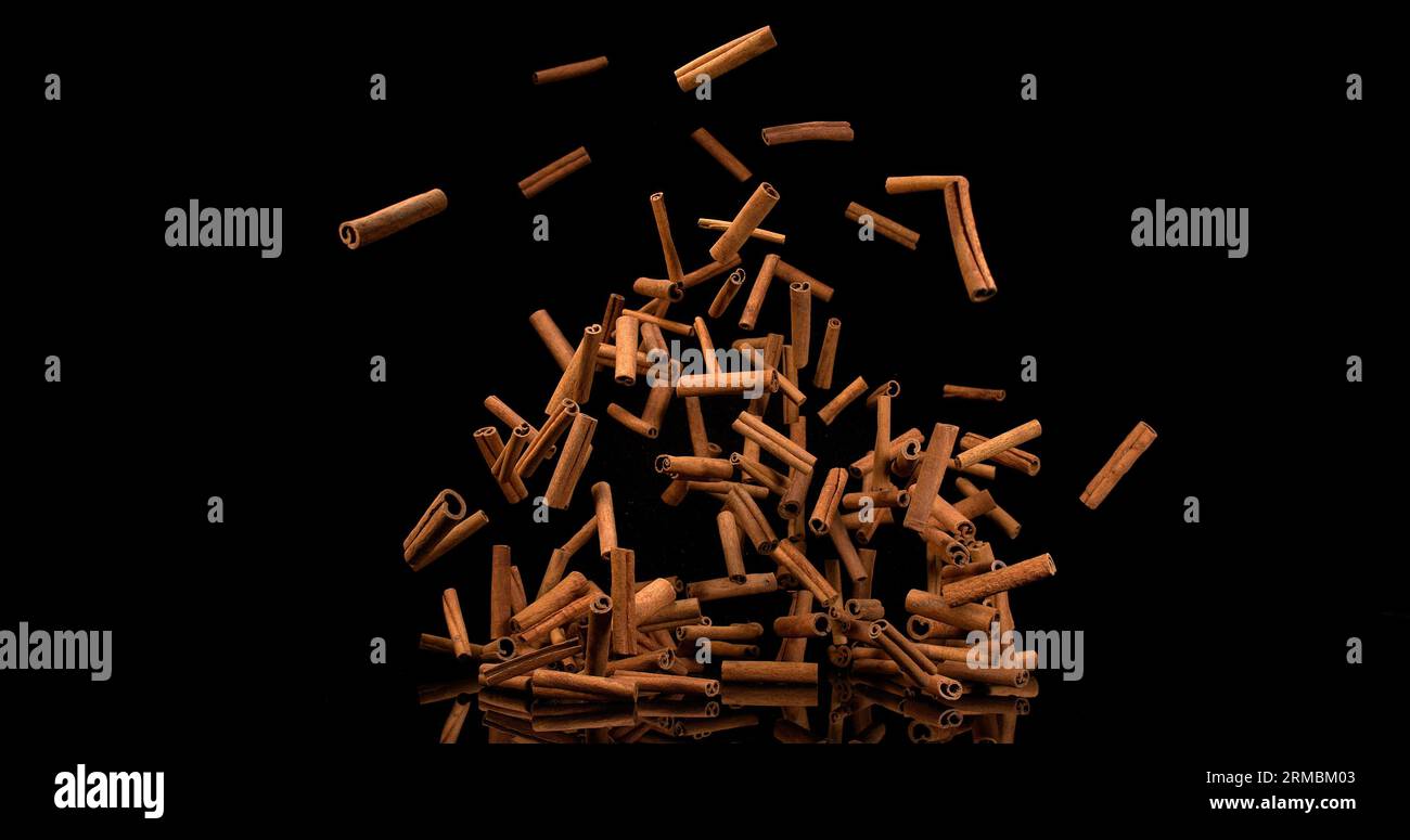 Cinnamon sticks, cinnamomum zeylanicum, spice falling against Black ...