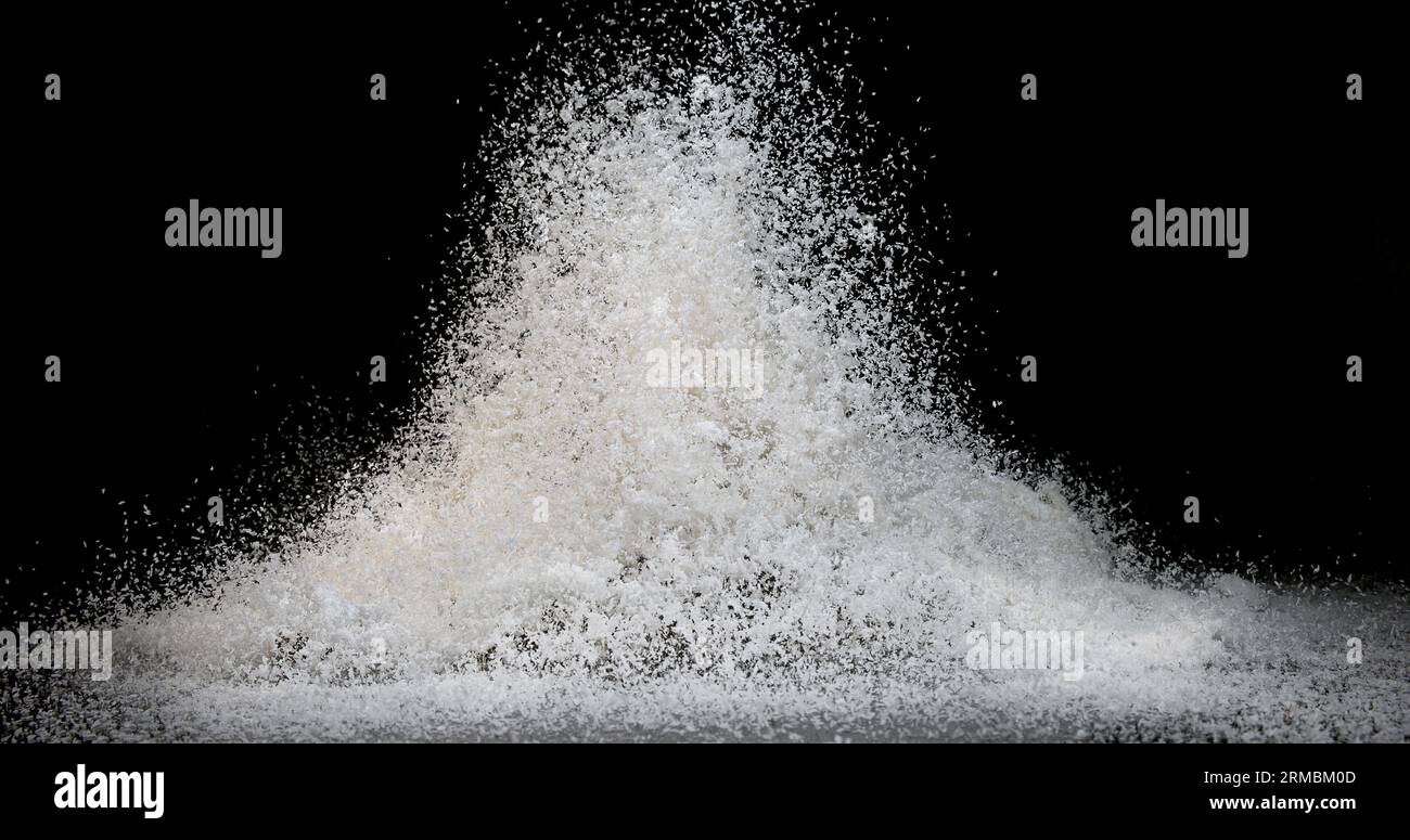 Coconut, cocos nucifera, Powder falling against Black Background Stock ...