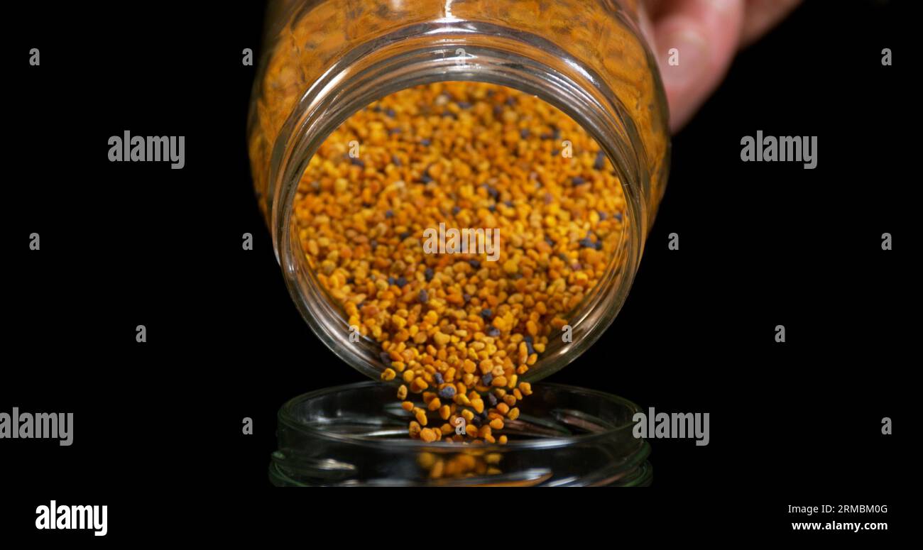 Pollen Dumplings Falling on Black Background Stock Photo - Alamy