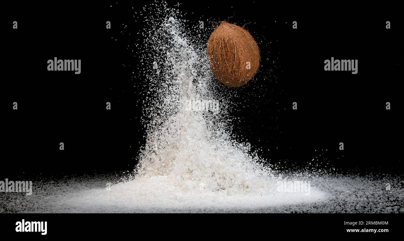 Coconut, cocos nucifera, Fruit and Powder Exploding against Black ...