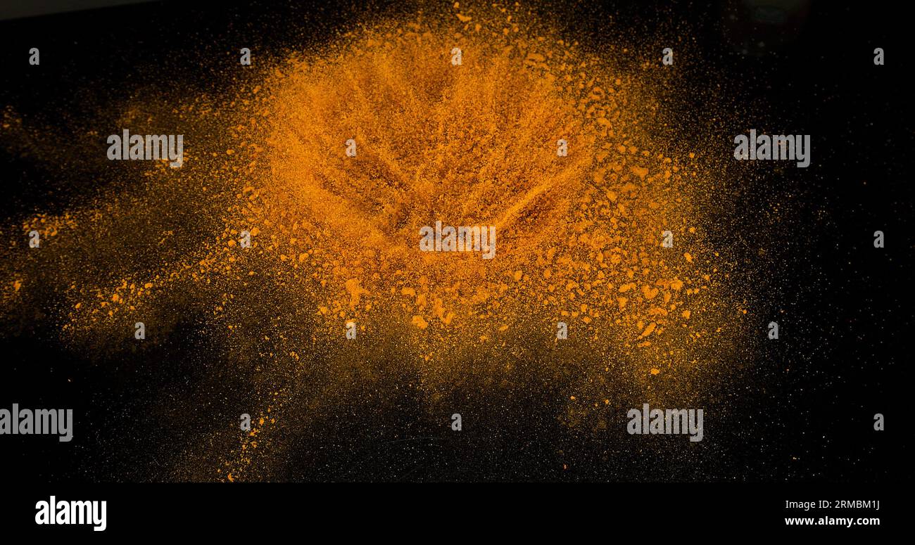 Turmeric, curcuma longa, Powder Exploding against Black Background ...