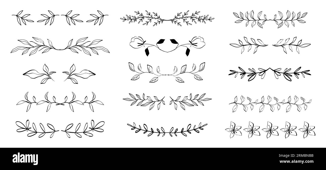 Floral dividers set Hand drawn leaf borders decor Stock Vector Image ...