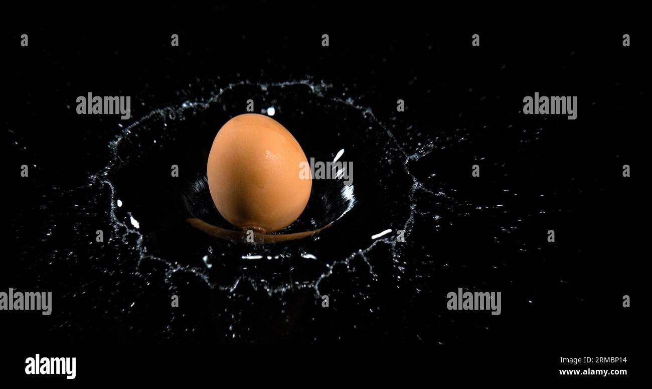 Egg Falling on Water against Black Background Stock Photo - Alamy