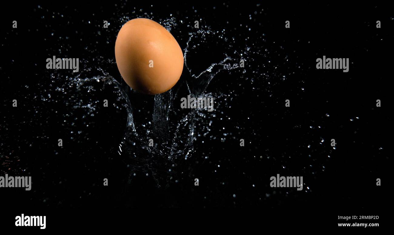 Egg Falling on Water against Black Background Stock Photo - Alamy