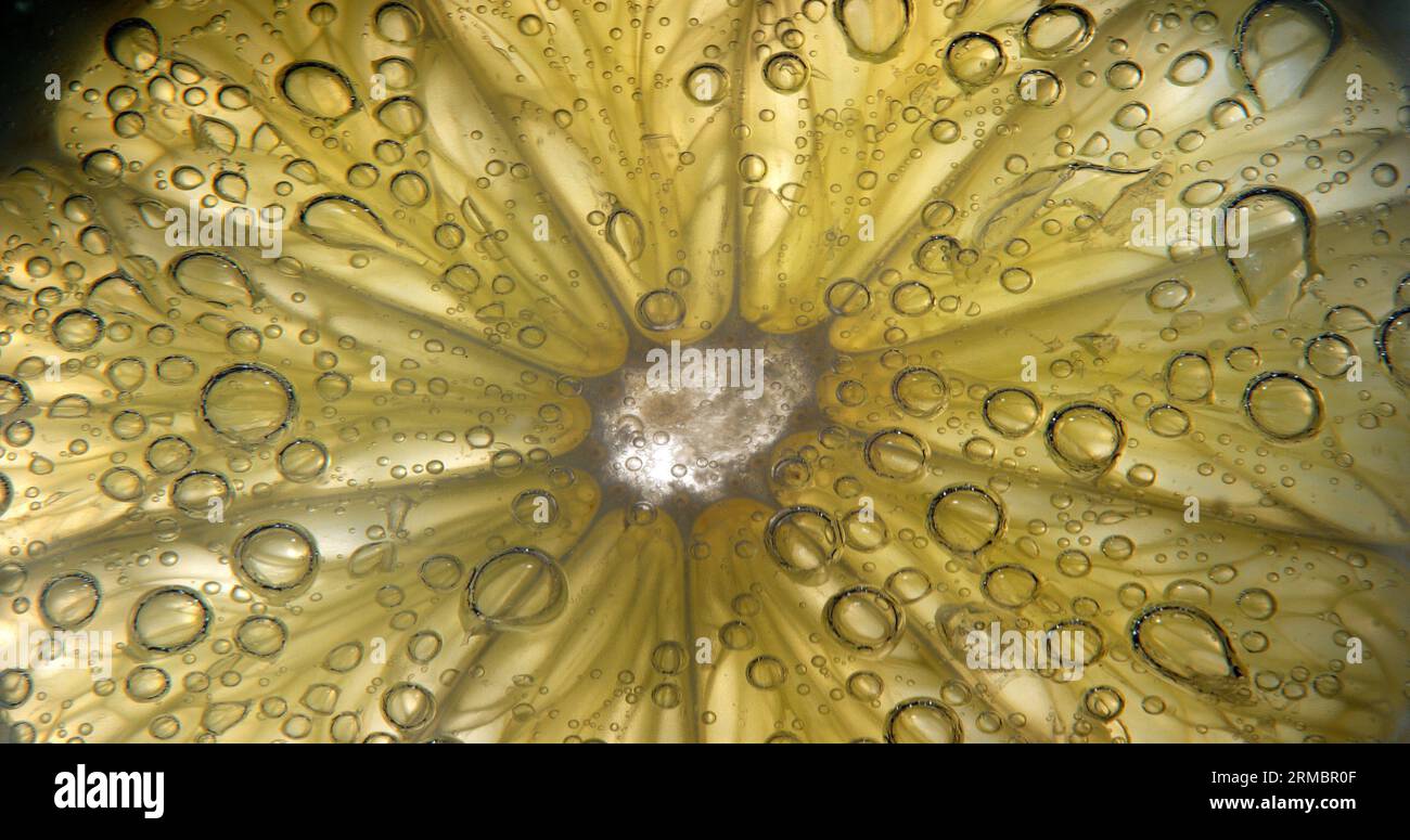 Slice of Green Lemon, citrus aurantifolia, in a Glass Stock Photo - Alamy
