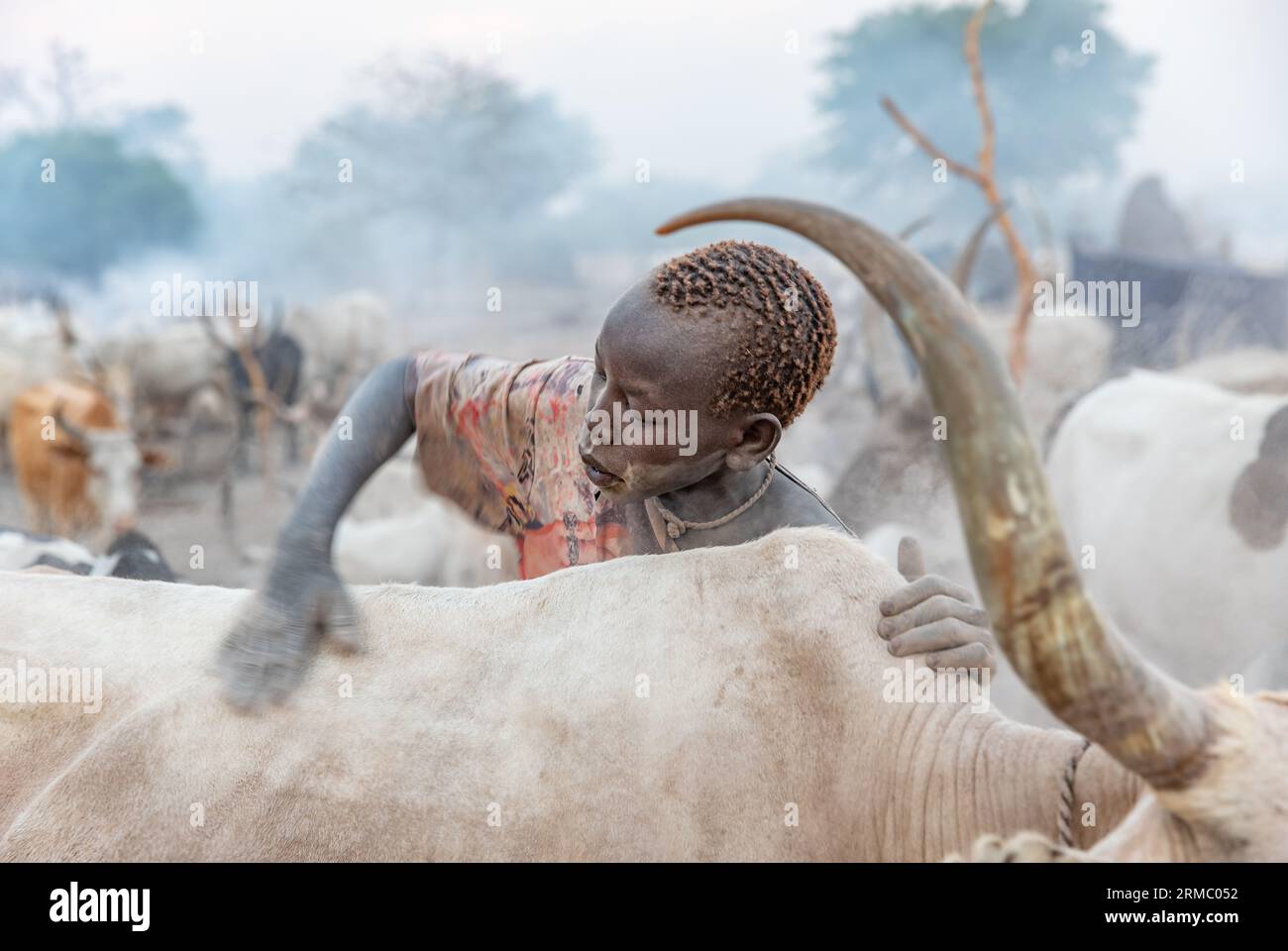 Mundari boy cares about his cow Stock Photo - Alamy