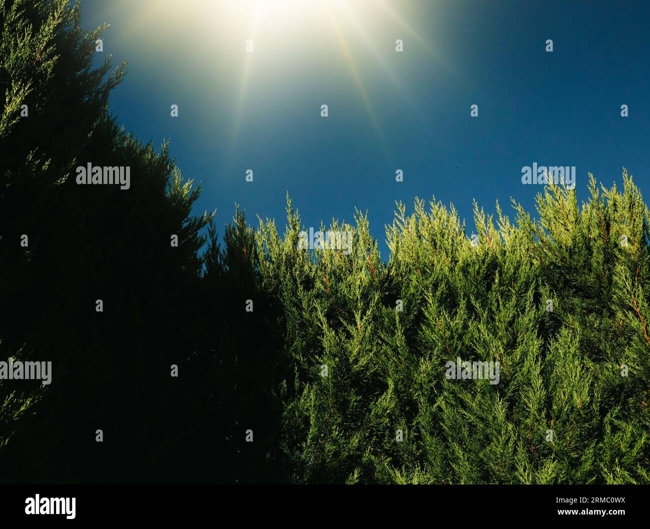 Urban and natural hi-res stock photography and images - Alamy