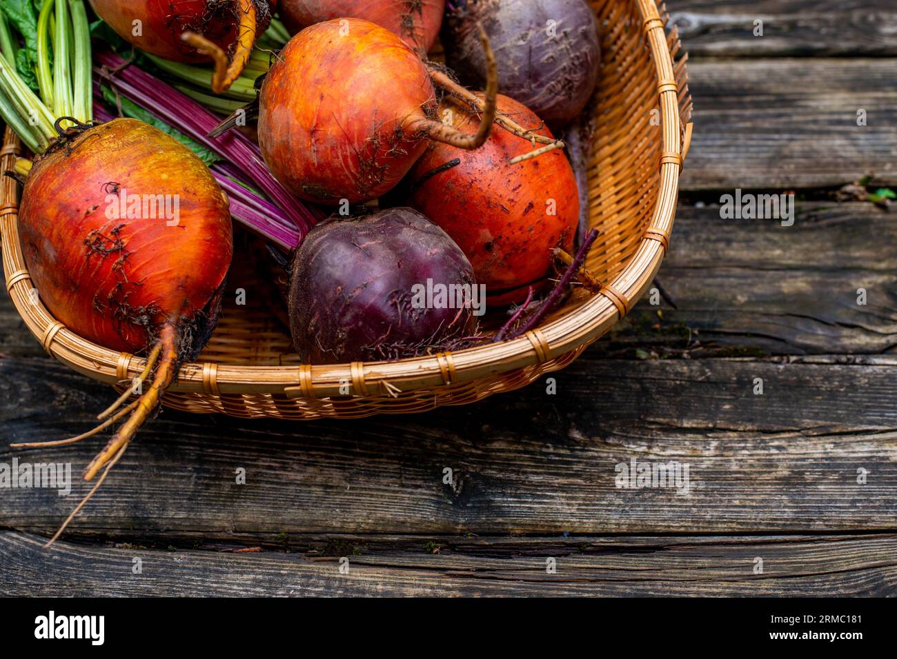 Beets growing in ground garden hi-res stock photography and images - Alamy