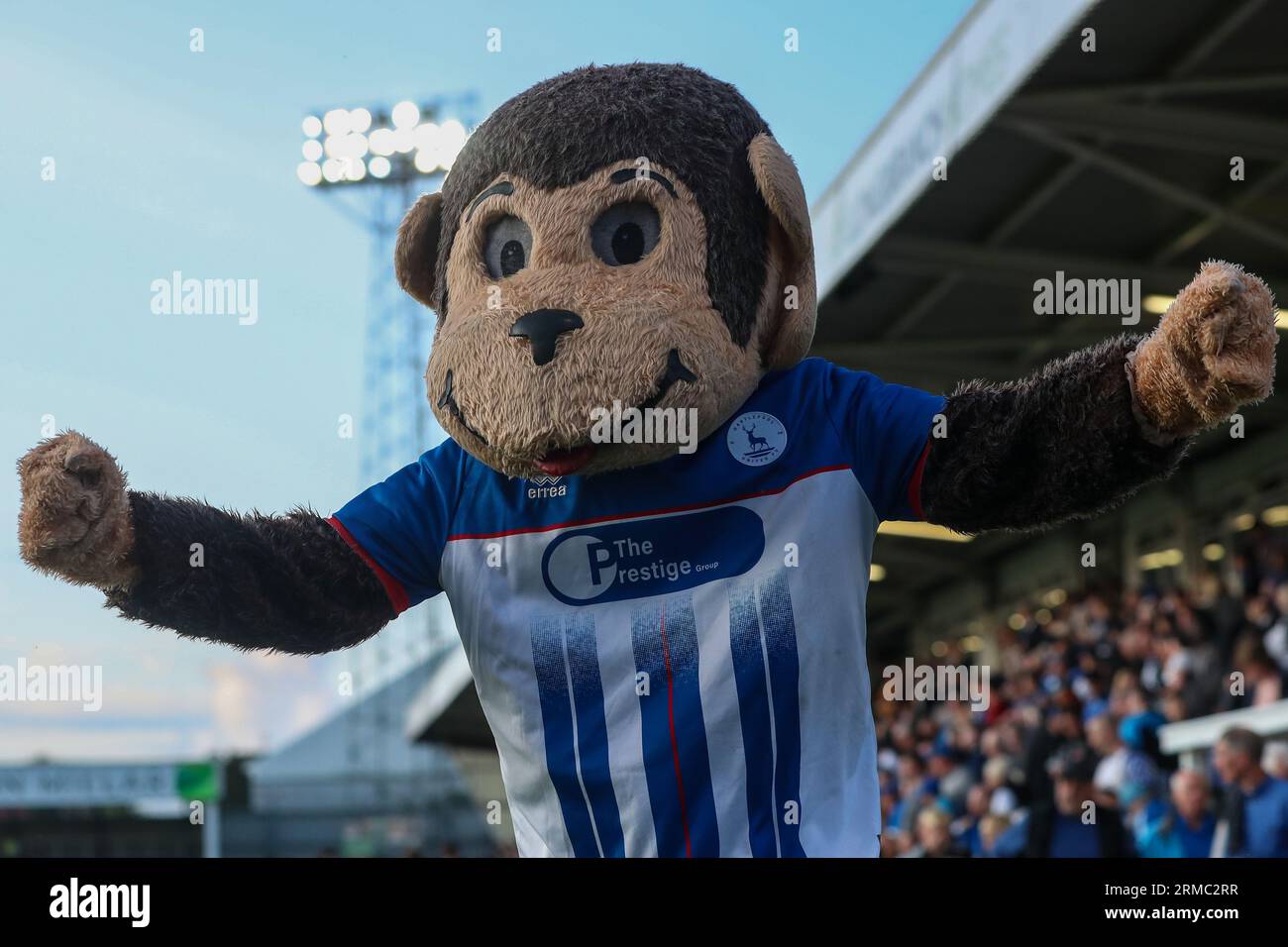 Hartlepool united mascot hi-res stock photography and images - Alamy