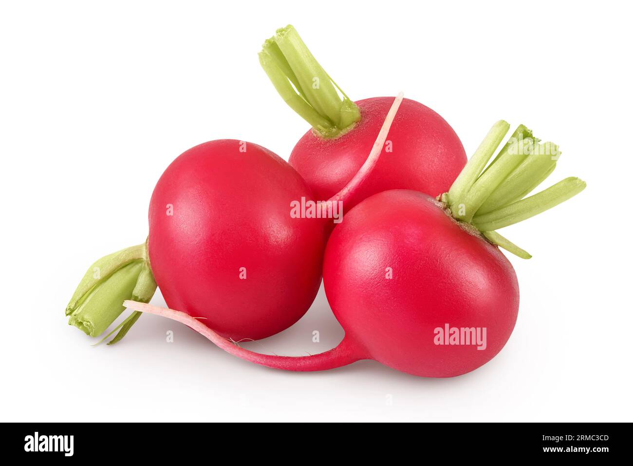 Fresh radish isolated on white background with full depth of field ...